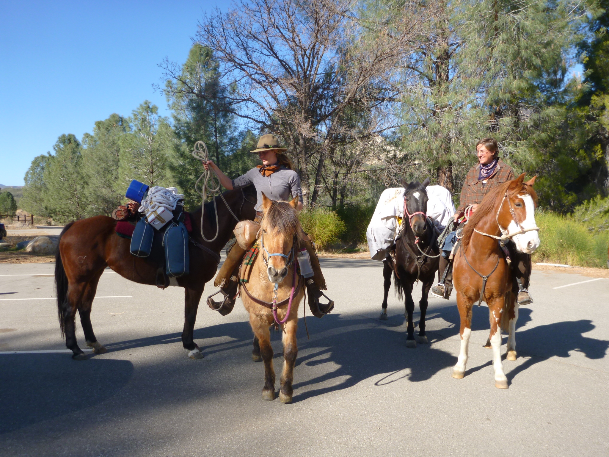 Possessions | Free Range Rodeo